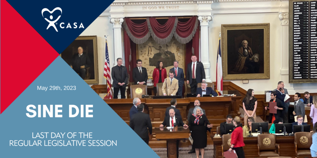 88th Legislative Session Update - Texas CASA